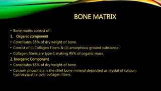 Histology of bone | PPTX