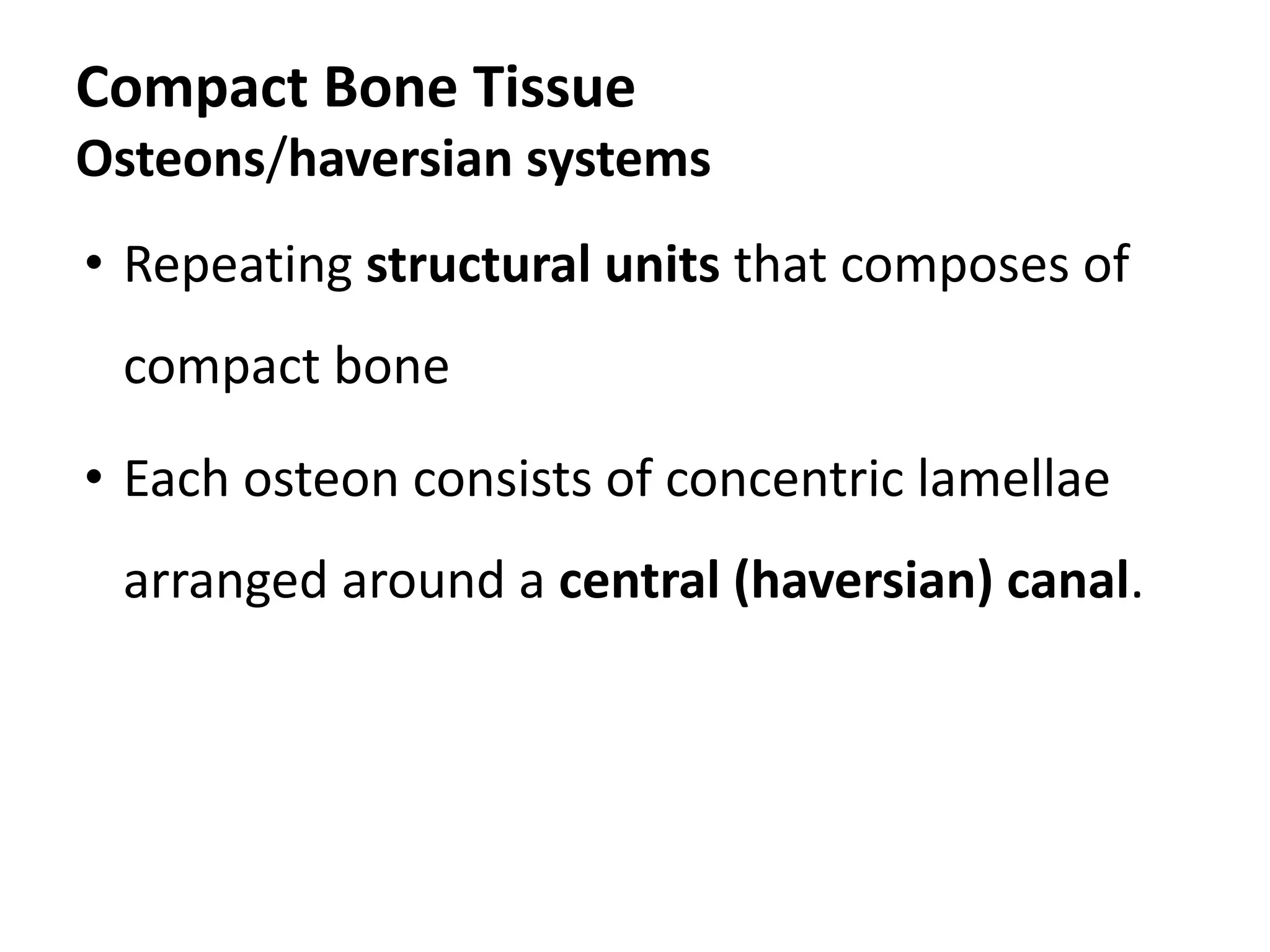 Histology of Bone.pptx.pdf