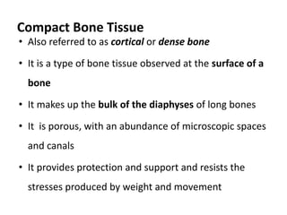 Histology of Bone.pptx.pdf
