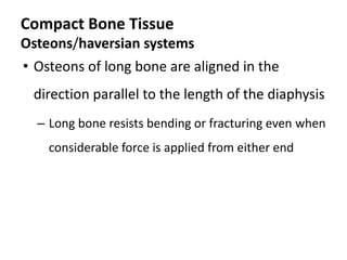 Histology of Bone.pptx.pdf