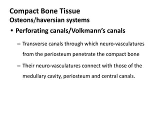 Histology of Bone.pptx.pdf