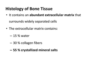 Histology of Bone.pptx.pdf