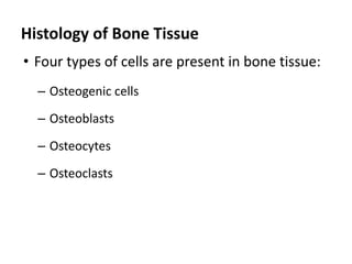 Histology of Bone.pptx.pdf