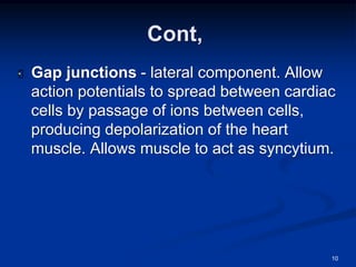 Histology of cardiac muscle | PPTX