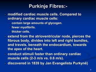 Histology of cardiac muscle | PPTX