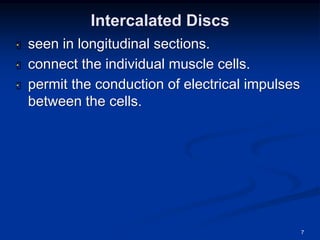 Histology of cardiac muscle | PPTX