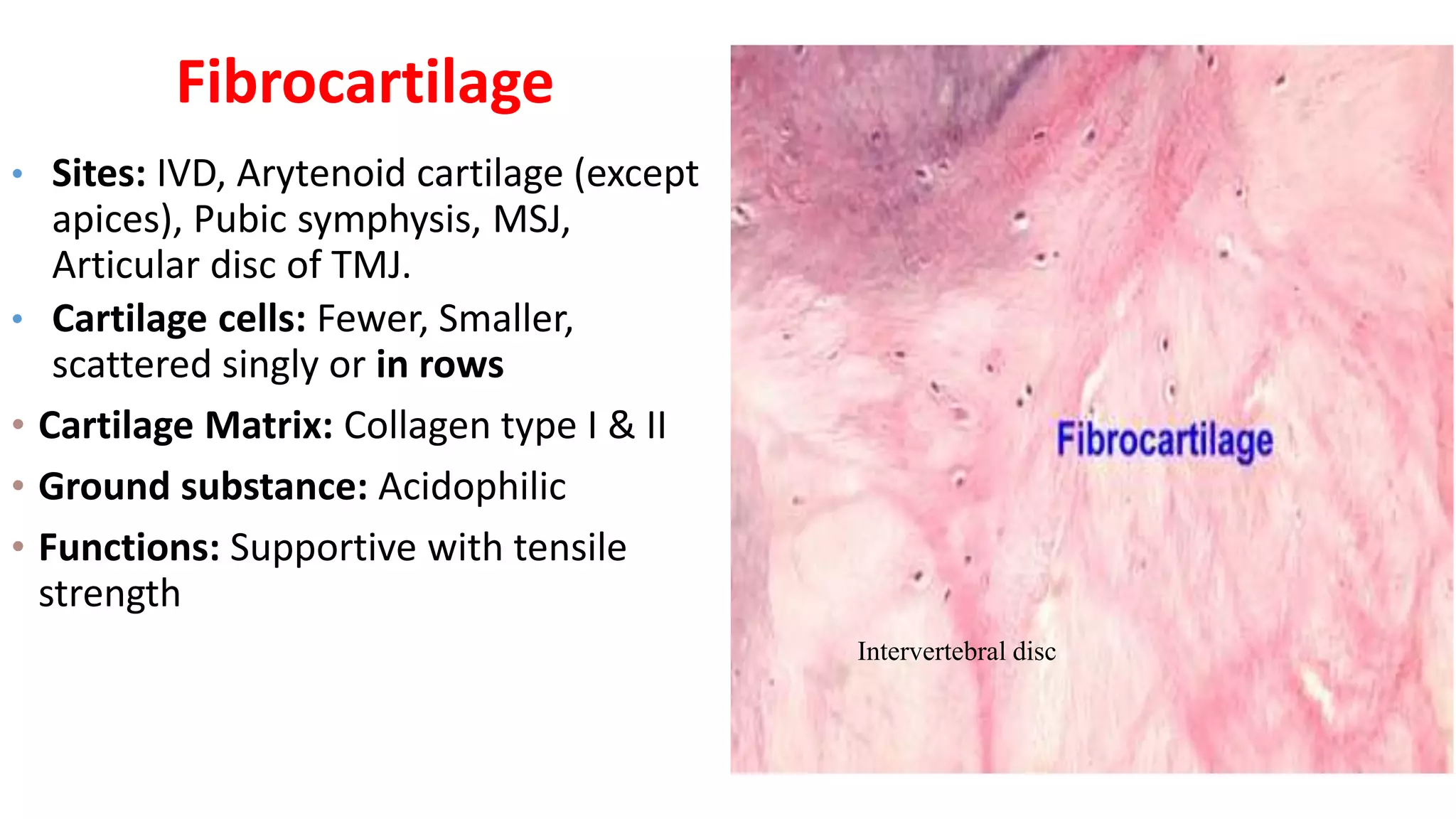 Histology of Cartilage.pptx