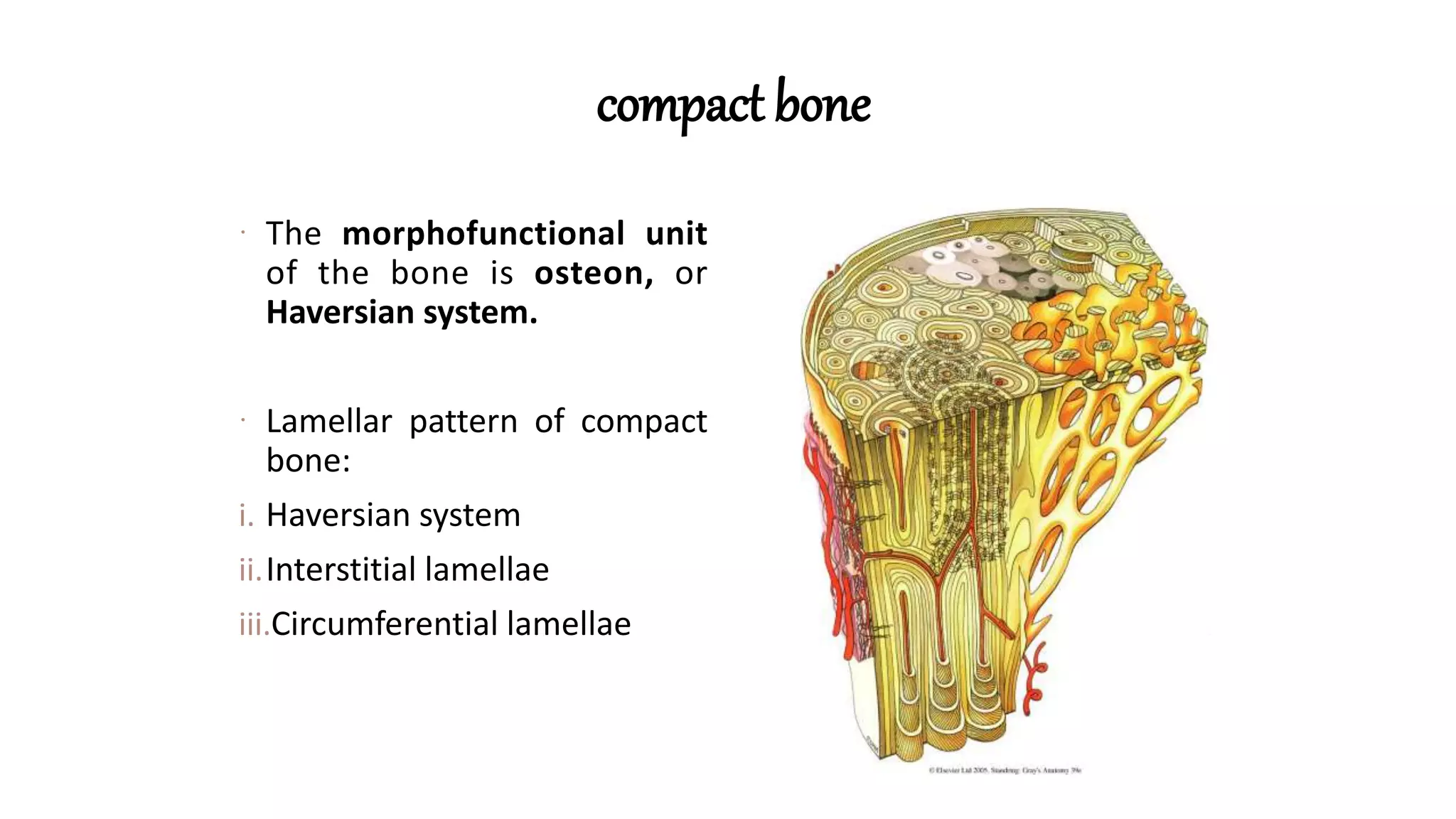 Histology of Cartilage.pptx