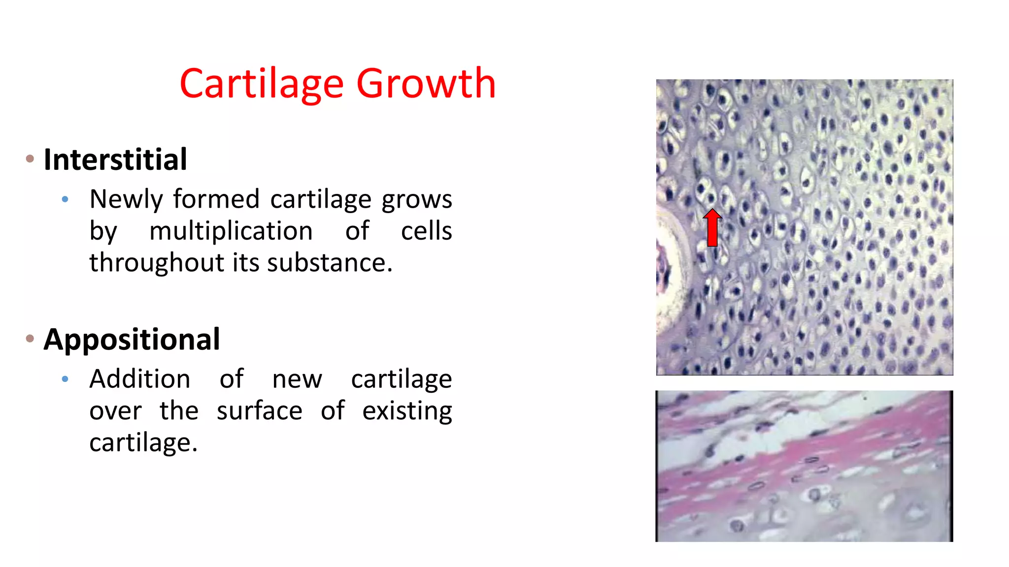 Histology of Cartilage.pptx