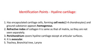 Histology of Cartilage.pptx