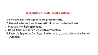 Histology of Cartilage.pptx
