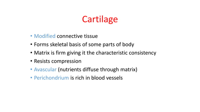 Histology of Cartilage.pptx | Bone and Joint Conditions | Diseases and Conditions