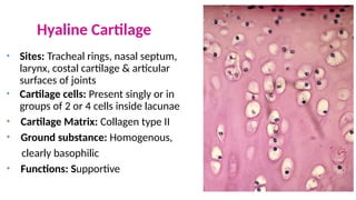 Histology of Cartilage.pptx