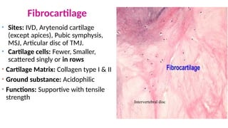 Histology of Cartilage.pptx