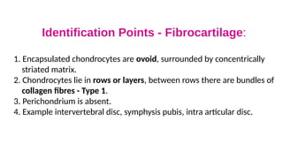 Histology of Cartilage.pptx