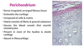 Histology of Cartilage.pptx