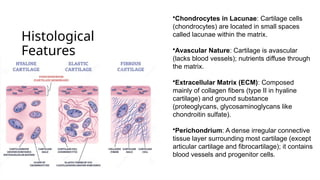 Complete Histology of Cartilage in details.pptx
