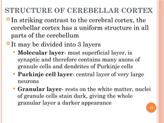 HISTOLOGY OF CENTRAL NERVOUS SYSTEM.pptx