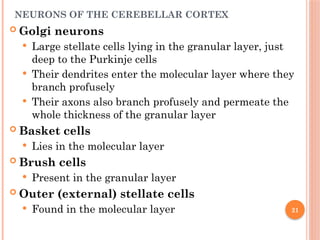HISTOLOGY OF CENTRAL NERVOUS SYSTEM.pptx