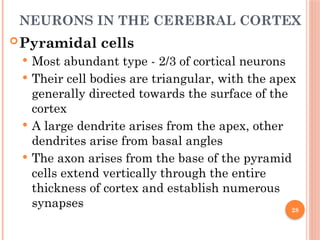 HISTOLOGY OF CENTRAL NERVOUS SYSTEM.pptx