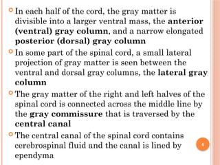 HISTOLOGY OF CENTRAL NERVOUS SYSTEM.pptx