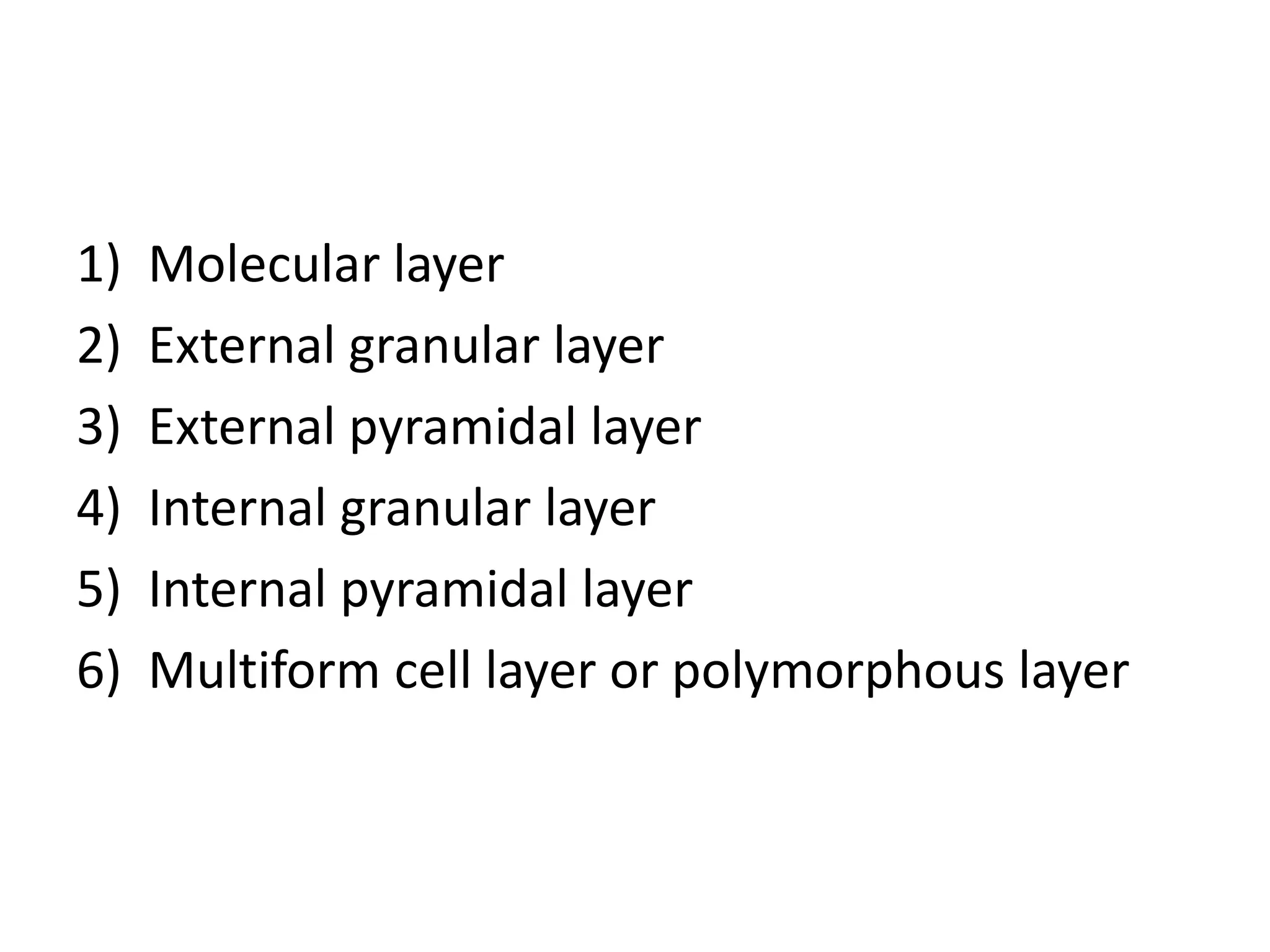 Histology of cerebellum and cerebrum | PDF