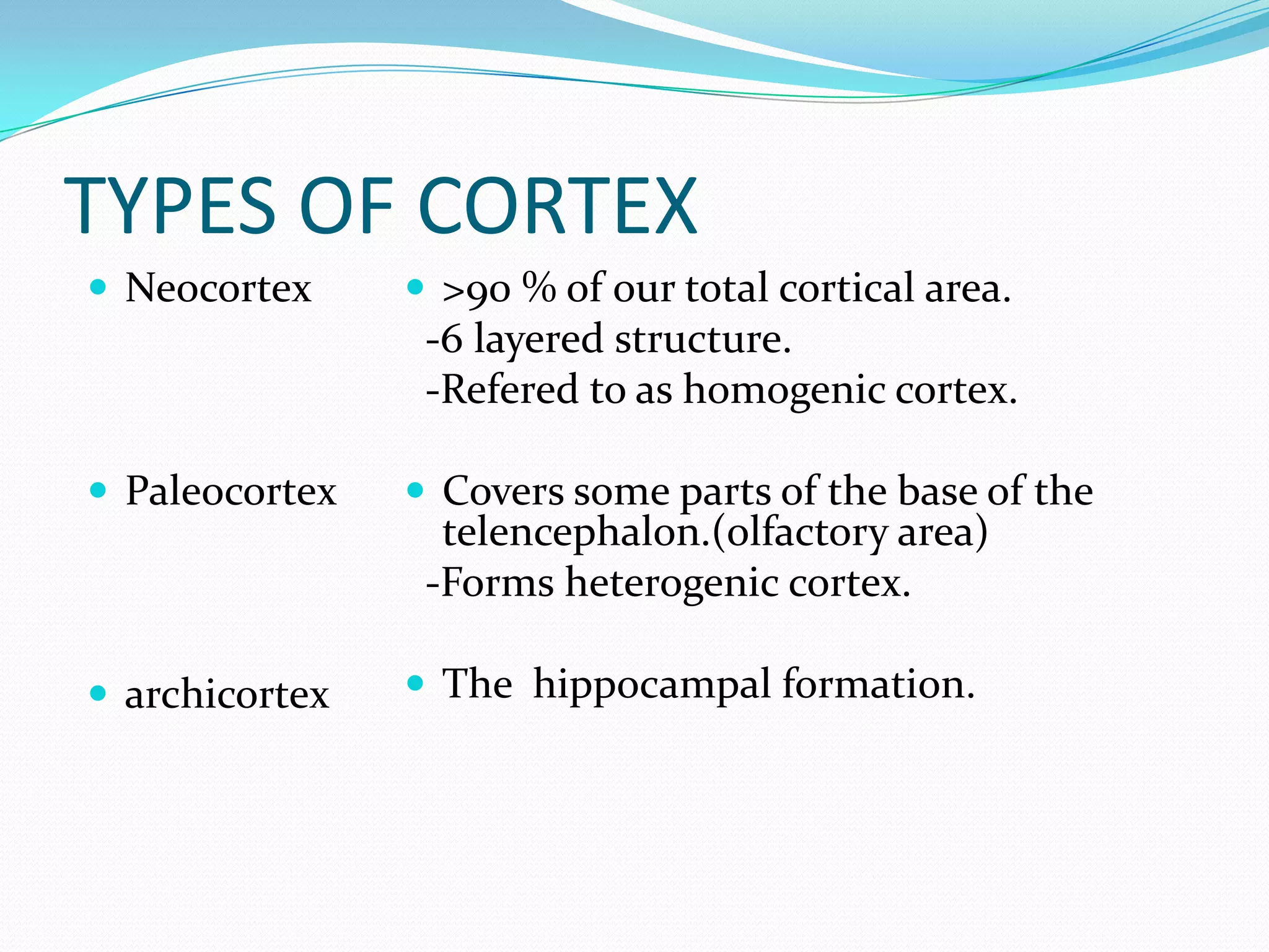Histology of cerebral cortex | PPTX