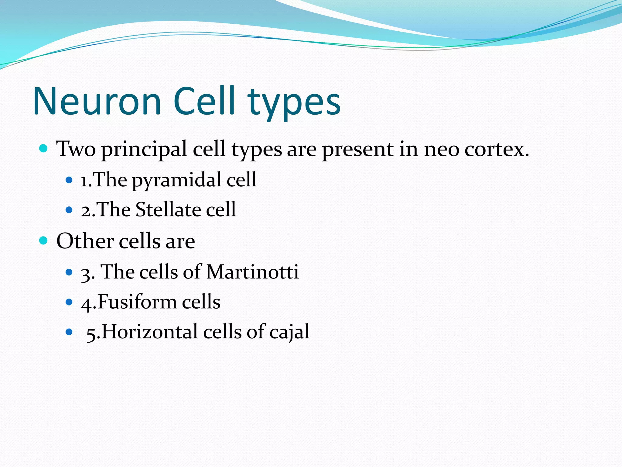 Histology of cerebral cortex | PPTX
