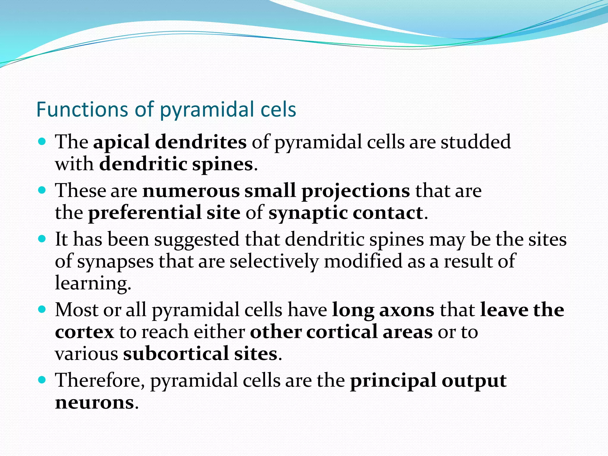 Histology of cerebral cortex | PPTX