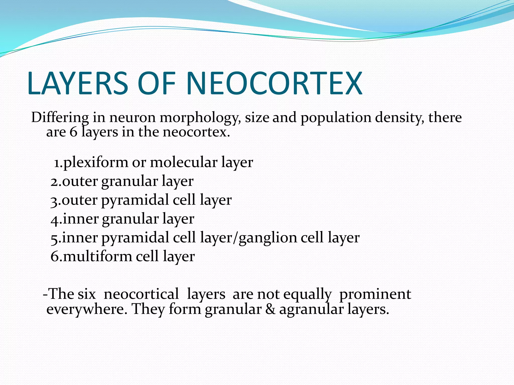 Histology of cerebral cortex | PPTX