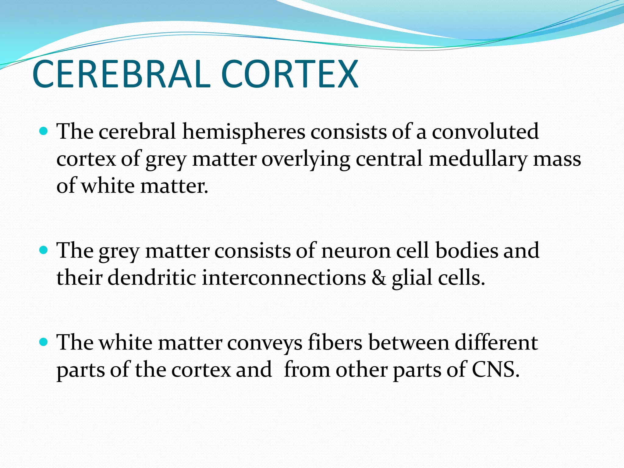 Histology of cerebral cortex | PPTX