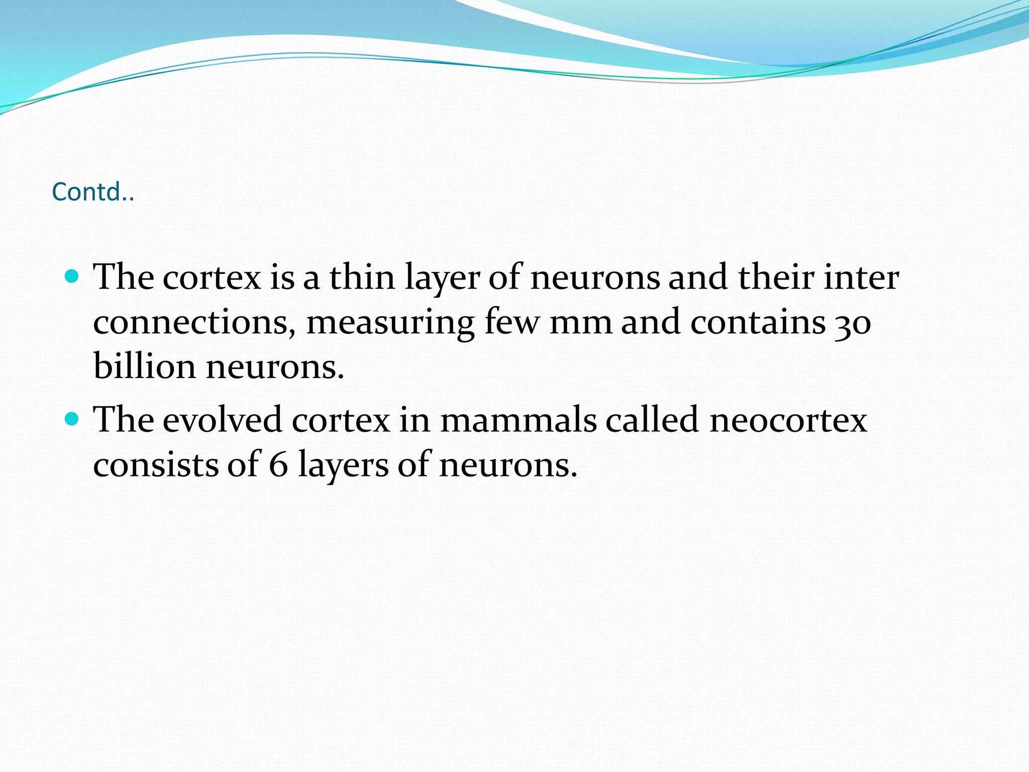 Histology of cerebral cortex | PPTX