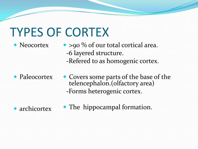 Histology of cerebral cortex | PPTX