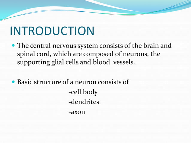 Histology of cerebral cortex | PPTX