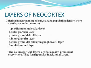 Histology of cerebral cortex | PPTX