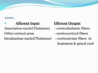 Histology of cerebral cortex | PPTX