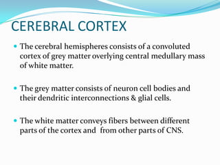 Histology of cerebral cortex | PPTX
