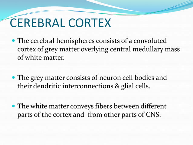 Histology of cerebral cortex | PPTX