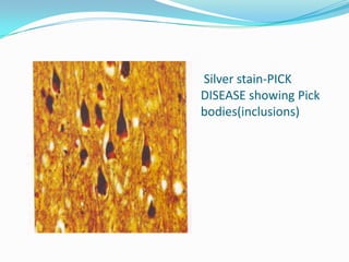 Histology of cerebral cortex | PPTX