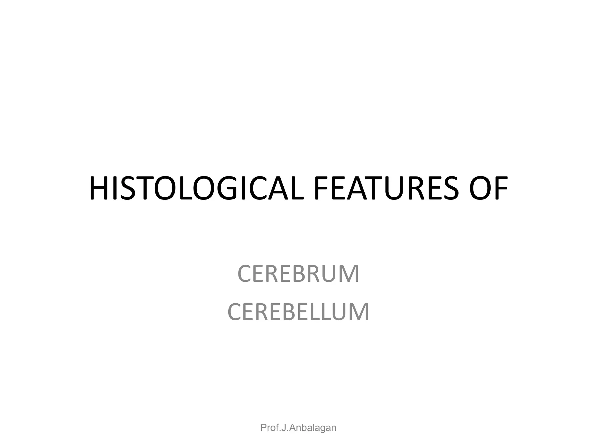 Histology of cerebrum and cerebellum | PDF