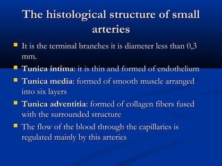Histology of circulatory system | PPT