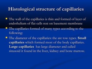 Histology of circulatory system | PPT