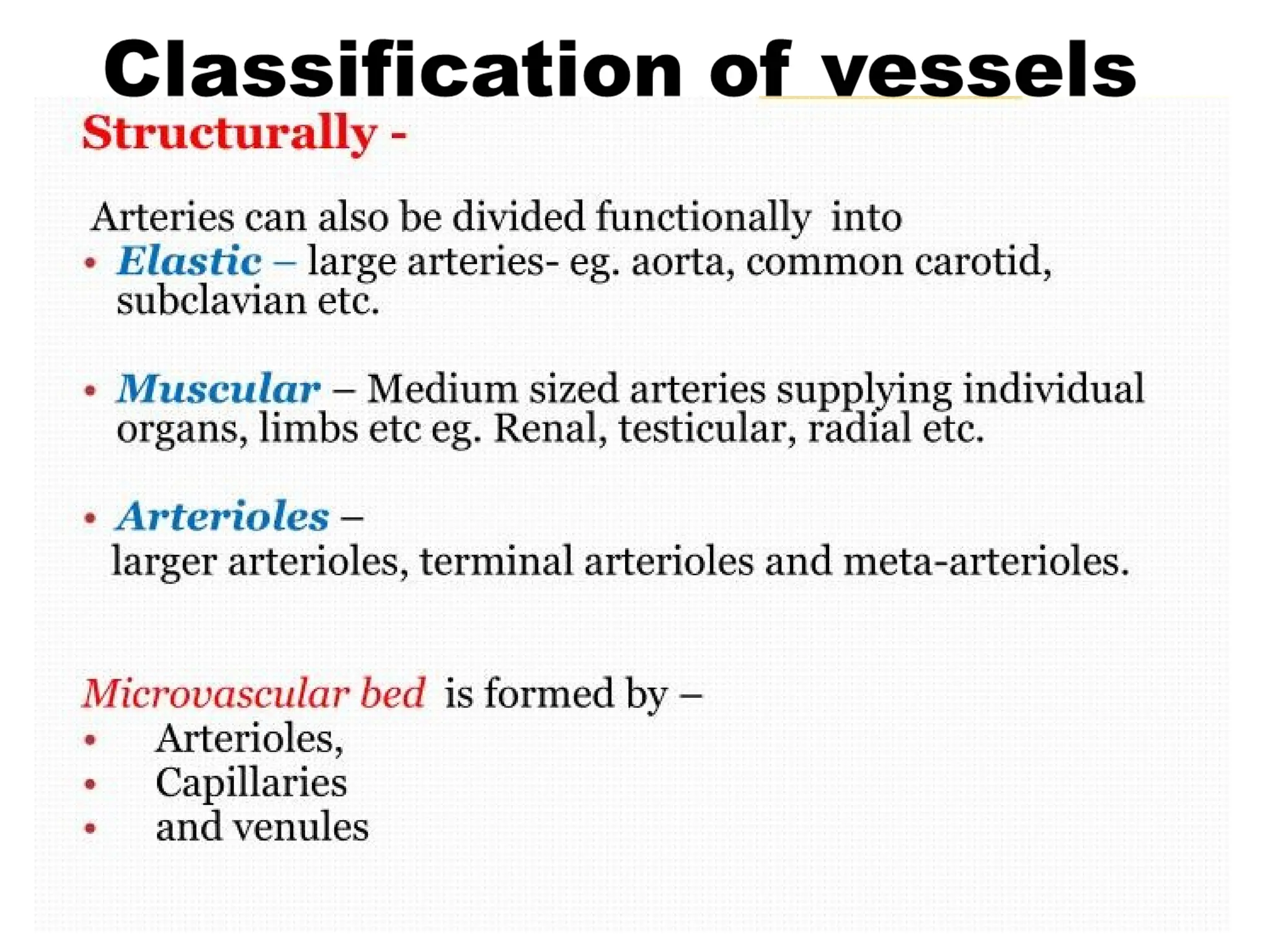 Histology of Circulatory System,arteries veins capillaries small medium ...
