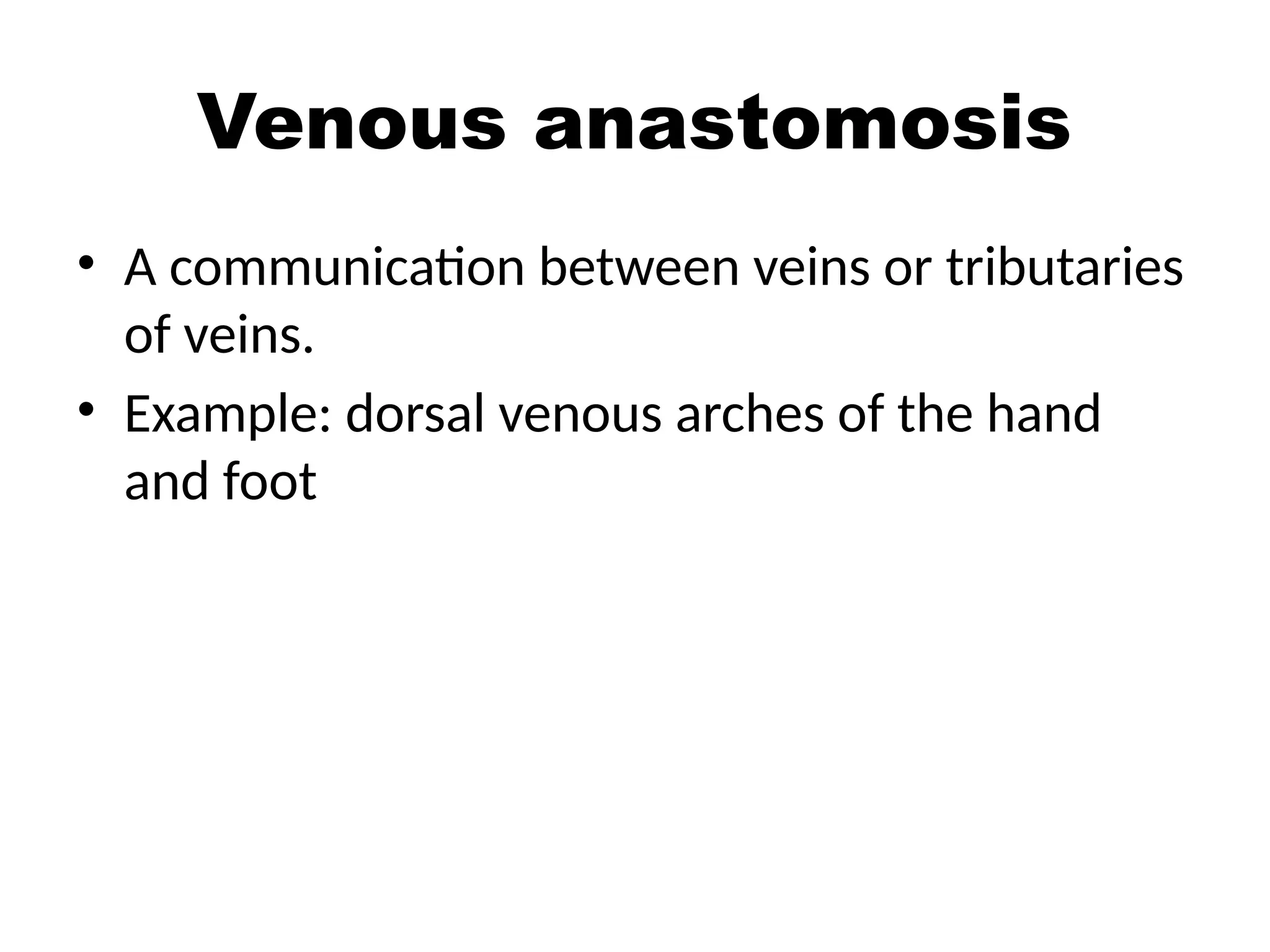 Histology of Circulatory System,arteries veins capillaries small medium ...