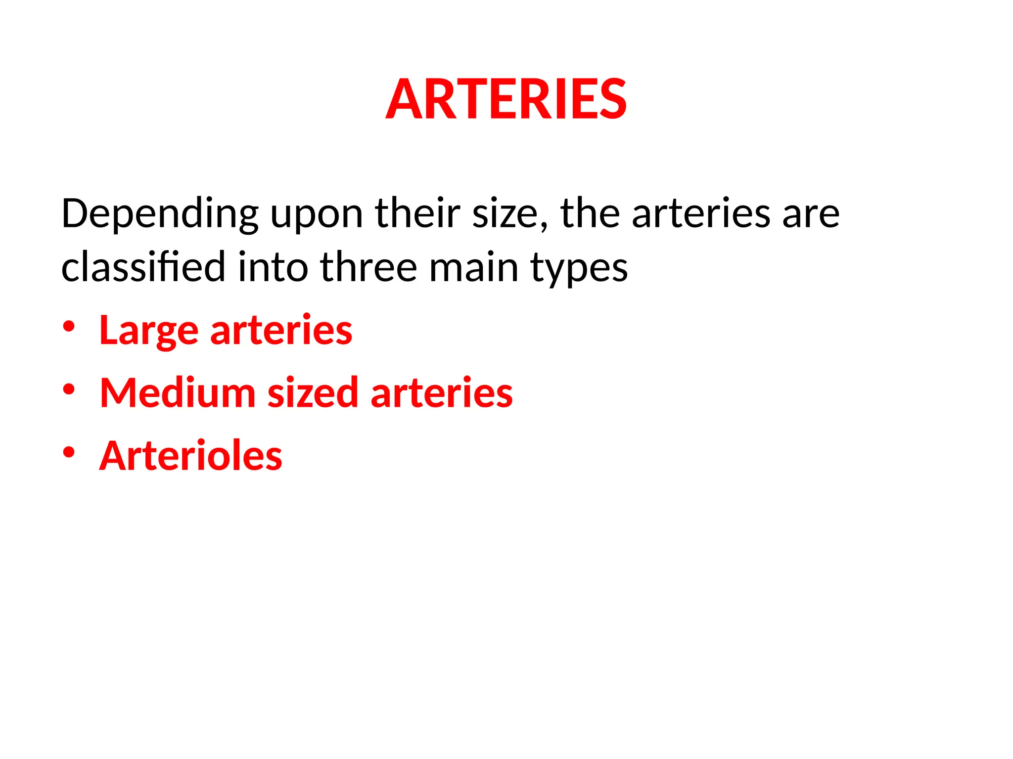 Histology of Circulatory System,arteries veins capillaries small medium ...