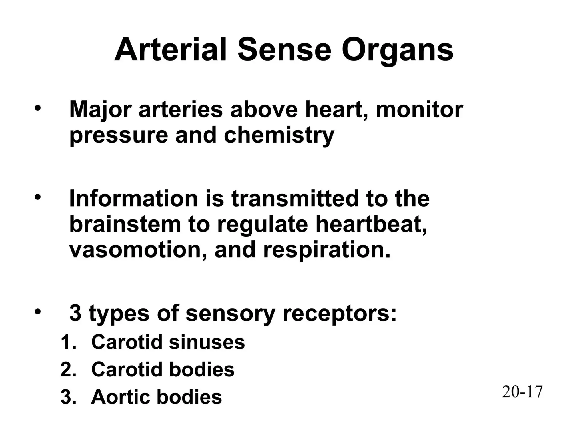 Histology of Circulatory System,arteries veins capillaries small medium ...