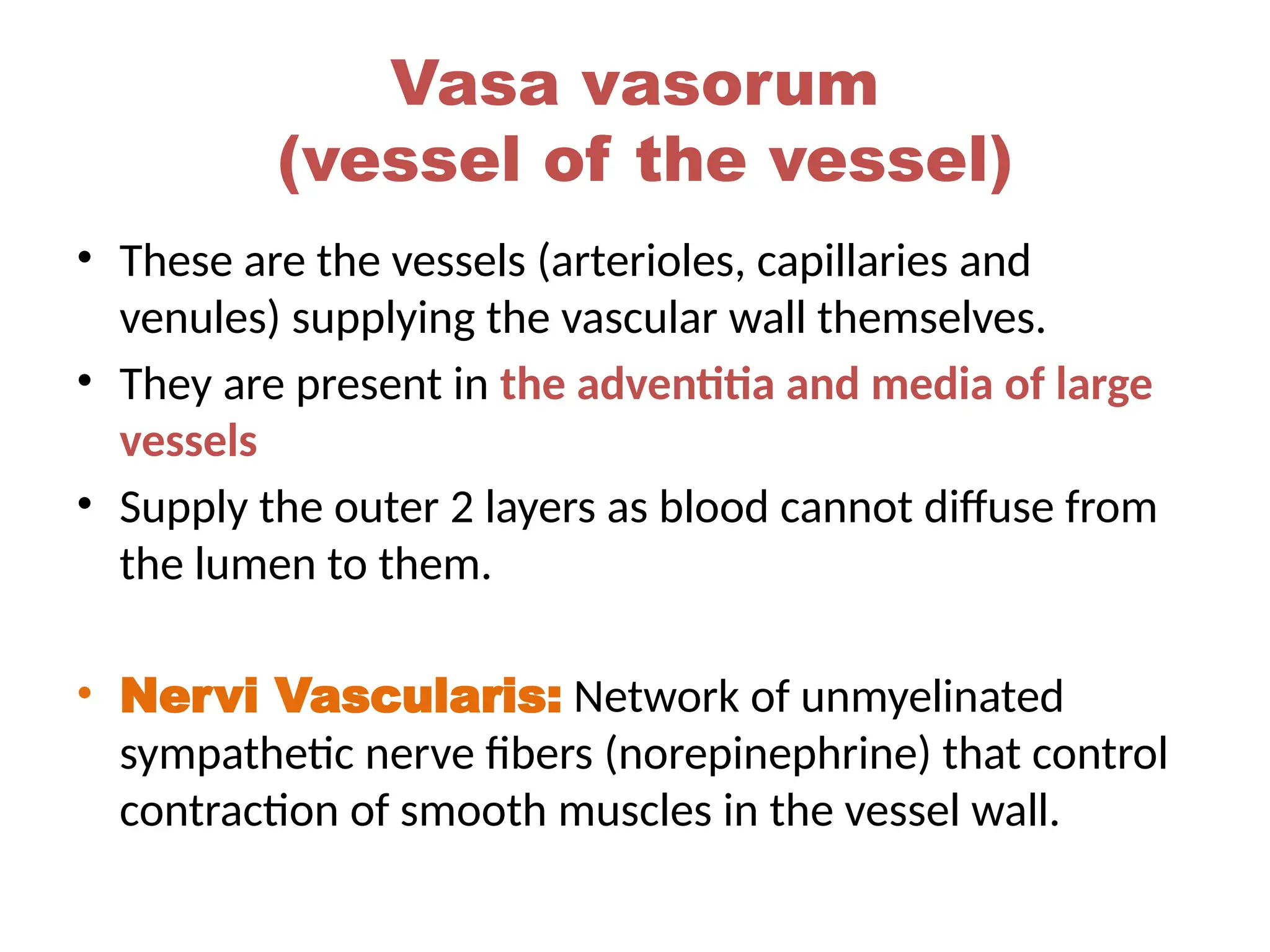 Histology of Circulatory System,arteries veins capillaries small medium ...