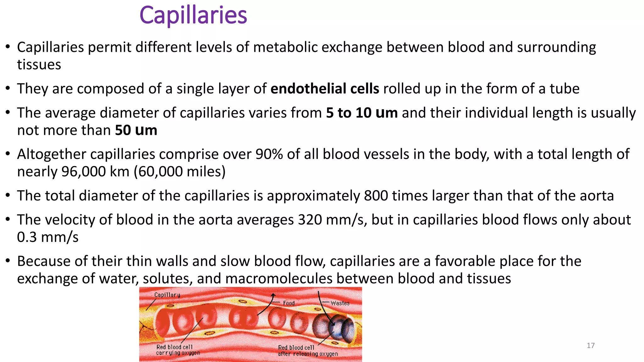 Histology of circulatory system-FB.pdf