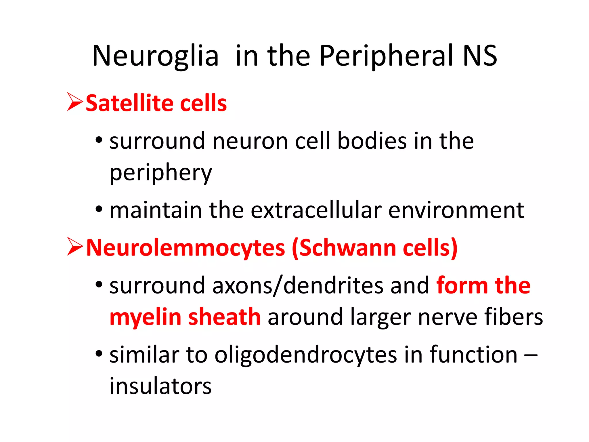 Histology of cns.dk.2014