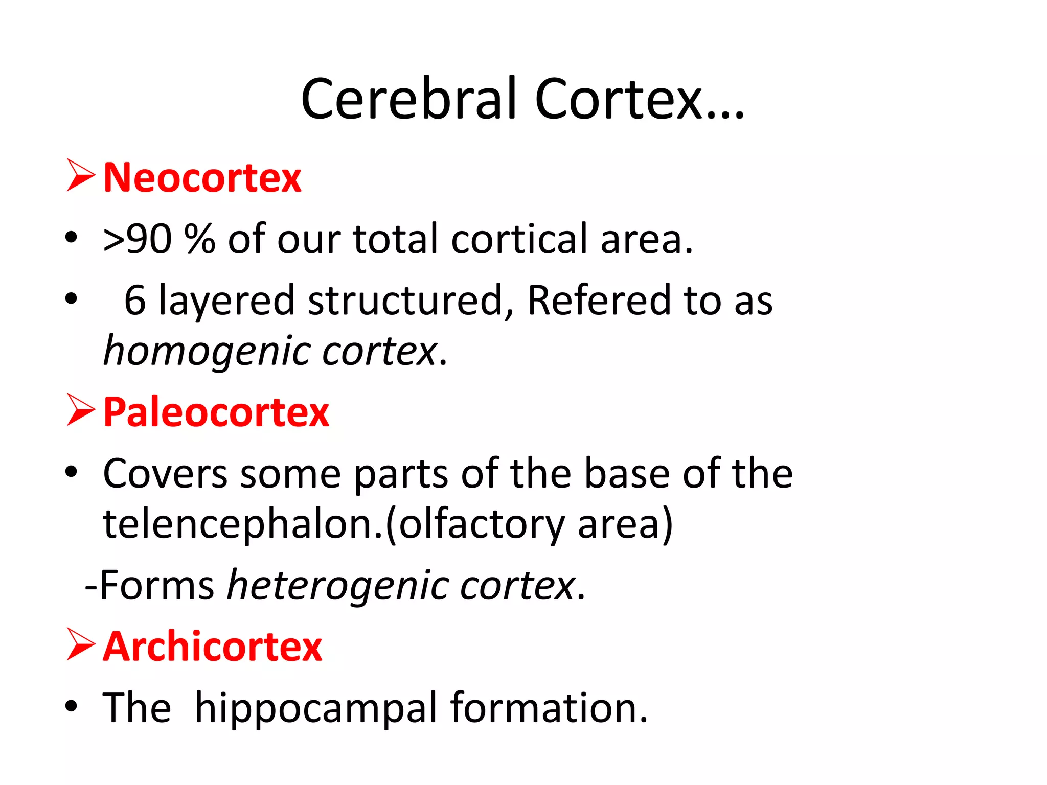 Histology of cns.dk.2014
